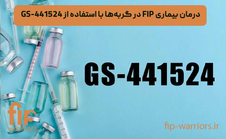داروی GS-441524 برای درمان FIP در گربه‌ها - FIP Warriors Iran